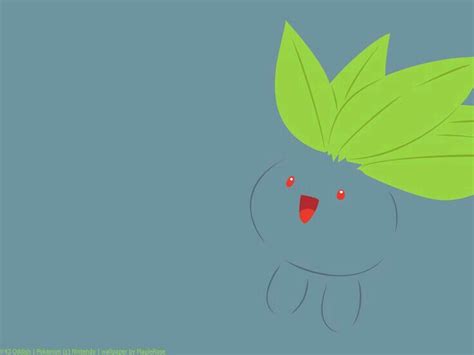 7 Best Igglybuff Images On Pinterest Cute Pokemon Kawaii And Kawaii Cute