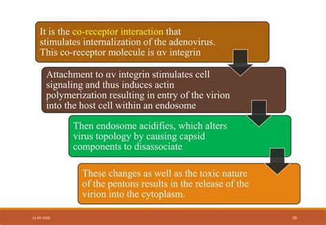 Gene Expression Systems Pdf