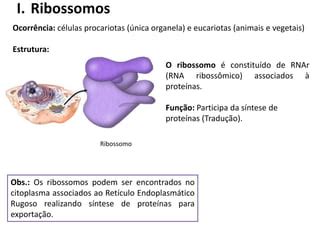 Citologia Celulas E Organelas Citoplasmaticas Pdf