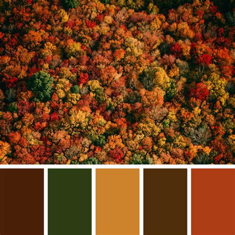 Autumn Color Palettes Soft Autumn Color Palette Npma