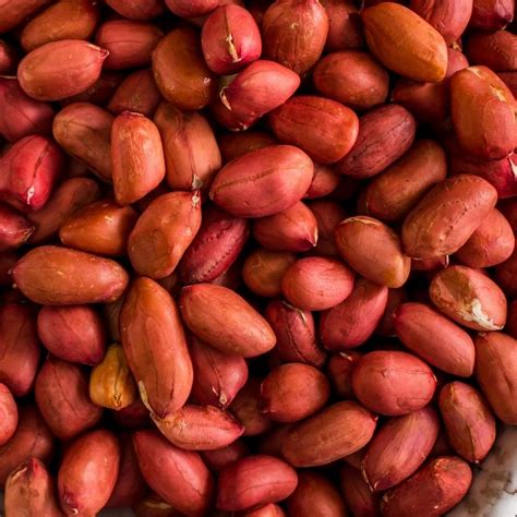 Valencia Raw Peanut At ₹ 110 Kg Raw Peanut In Gandhidham Id