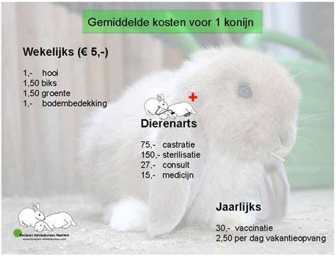 Kosten Konijn Stichting Bedenk