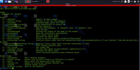 Gobuster Penetration Testing Tools In Kali Tools GeeksforGeeks