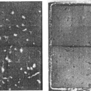 Porosity Distribution In Ball Grid Array Packages 1 Download Scientific Diagram