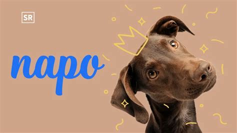 Napo Funding News London Based Napo Secures €14 4 Million In Series B Round Funding