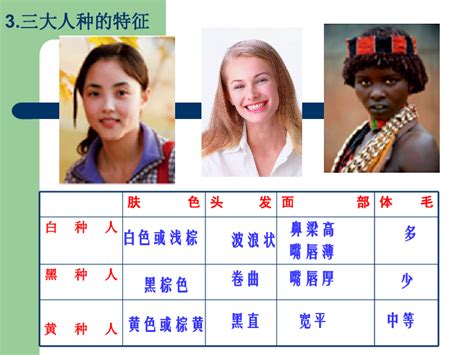 人种图鉴 人种 大山谷图库
