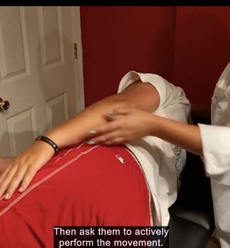 Lab Practical Flashcards Quizlet