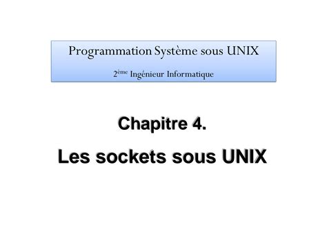 SOLUTION Chapitre Les Sockets Sous Linux Studypool