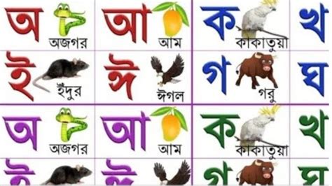 অ আ ক খ বাংলা স্বরবর্ণ ও ব্যঞ্জনবর্ণ অ এ অজগরটি আসছে তেড়ে ক এ কাকাতুয়ার মাথায় ঝুটি