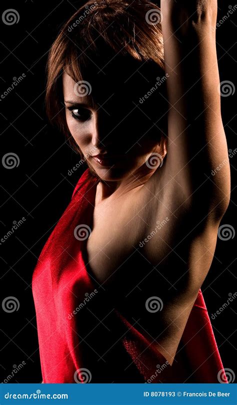 Sensual Woman Posing Stock Image Image Of Shadow Seductive 8078193