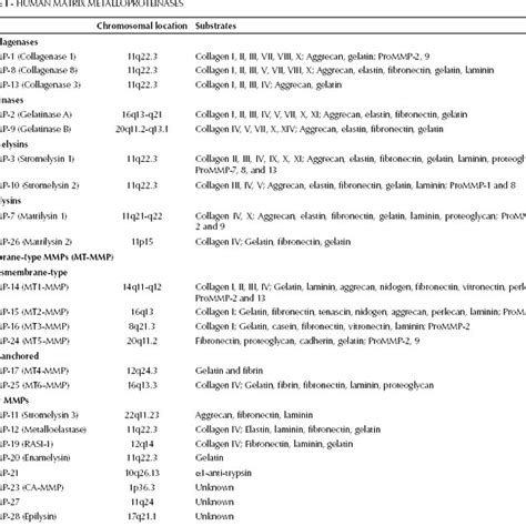 Human Matrix Metalloproteinases Download Scientific Diagram
