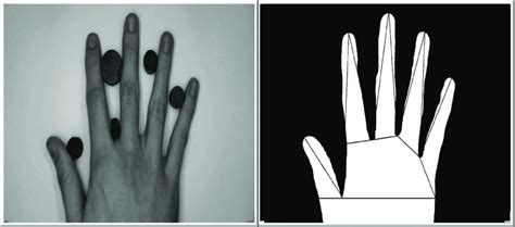 A Human Hand Used For The Extraction Of Hand Geometry Features