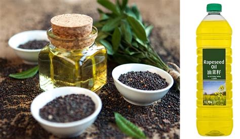 Рапсовое масло оптом Производство — Agro Kazakhstan