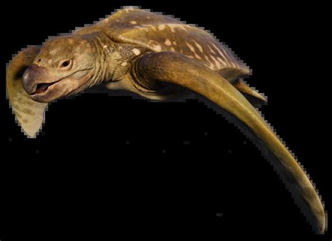 Archelon Jurassic World Evolution Wiki Fandom