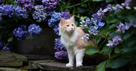 なぜ梅雨っていうの意外と知らない梅雨にまつわる雑学