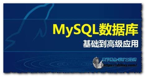 天实战集训营 带你锤碎MySQL 百度云 天翼云下载 天下无鱼 资源博客
