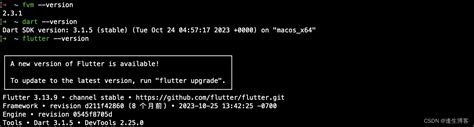 使用 Fvm 管理 Flutter 版本fvm Flutter Csdn博客 使用 Fvm 管理 Flutter 版本fvm Flutter Csdn博客