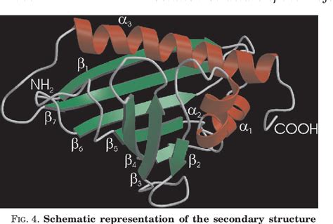 Figure 1 From Allergic Cross Reactivity Made Visible Semantic Scholar