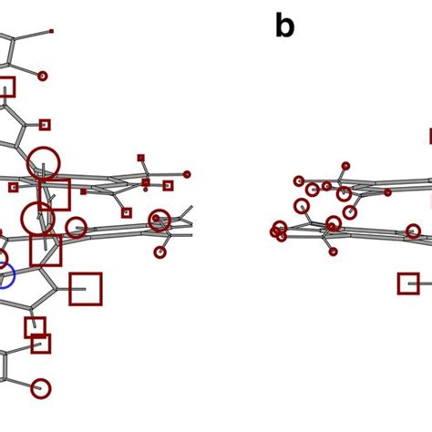 Three Dimensional Structure And Sequence Of The Prototypic Cyclotide Download Scientific