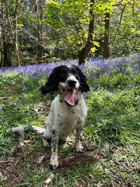 Michael Halling On Linkedin Lt24uk