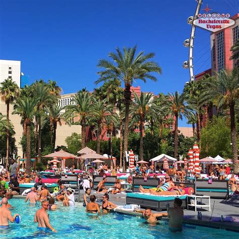 Flamingo Go Pool Pool Parties Las Vegas