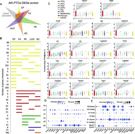 Identification Of Specific Biomarkers For Ptcs In Single Or Multiple