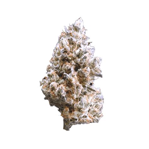 Forbidden Runtz Emerald Visions