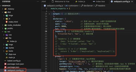 Webpack Dev Serverwebpack Dev Server Csdn博客