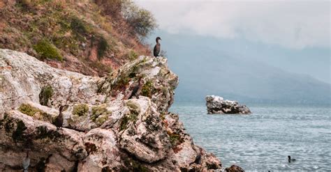 집 밖의 가을 경치가 좋은 고요한 고요한 풍경 구름 구름 낀 하늘 그림 같은 덤불 떼 목가적인 무리 지어 가는 새 물새 바닷새 바위 바위 해안선