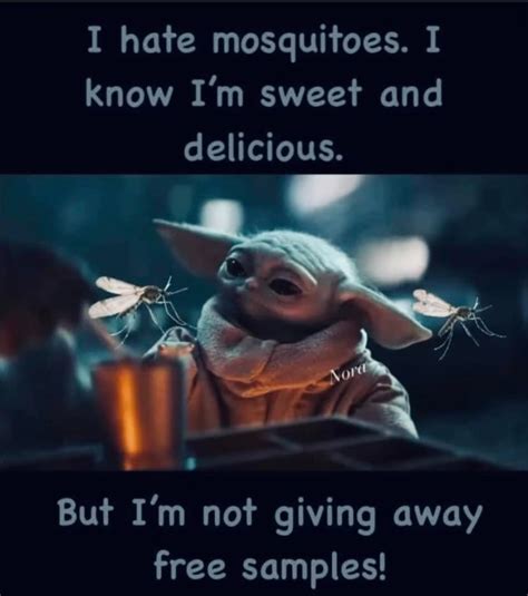 Photo Posted By S O N Y A B E L O U S O V A Sonya Belousova