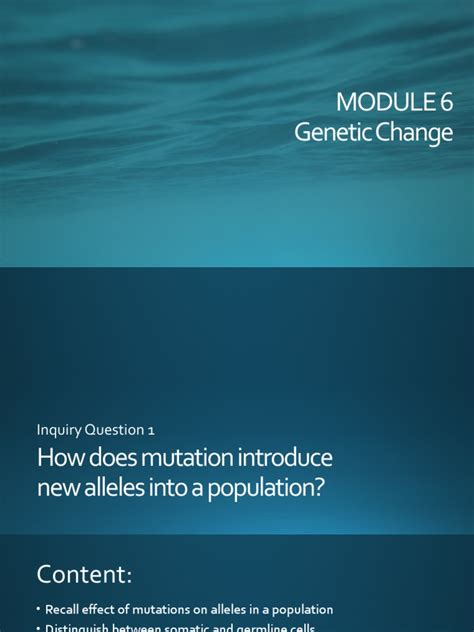 03 Somatic And Germline Mutations Pdf