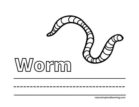 Worms Coloring Pages