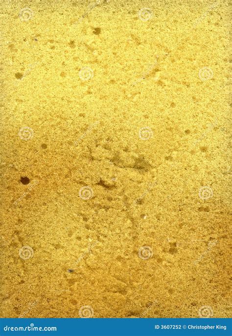 Dirty Sponge Texture Stock Photo Image Of Chore Grime 3607252