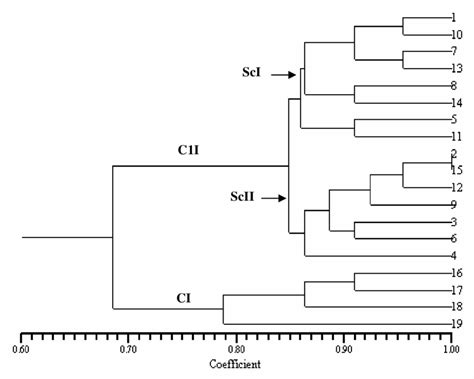 UPGMA Cluster Analysis Showing Morphological Diversity Among The
