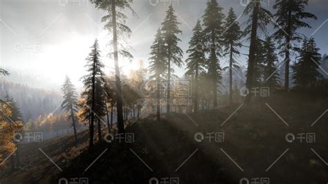 穿过树木高清图片 阳光透过树木在山的岩石上阳光穿过树木 生活方式免费下载 格式 4096像素 编号39163458 千图网