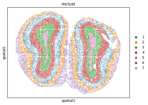 Stereo Seq — Binary Tutorials 1 0 Documentation