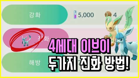 리피아 글레이시아 진화방법 2가지 루어 없이도 진화 가능 [쌈밥tv][포켓몬고] Youtube