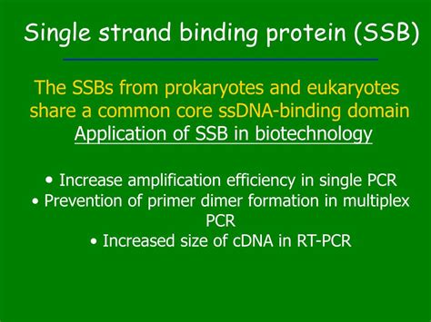 Ppt Dna Replication Powerpoint Presentation Free Download Id4729556