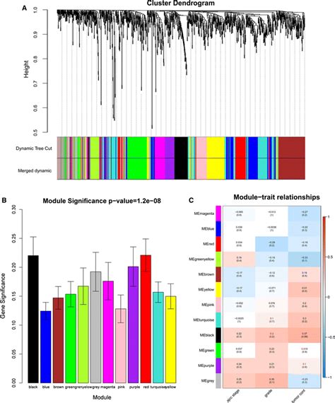 Identification Of Modules Associated With The Progression Of Pdac A Download Scientific