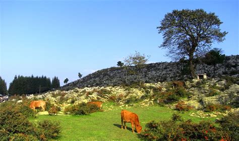 石柱千野草场生态旅游风景区规划 落地案例 北京至道文旅规划院 乡村振兴规划 特色小镇规划 田园综合体规划 景区规划公司 乡村旅游规划