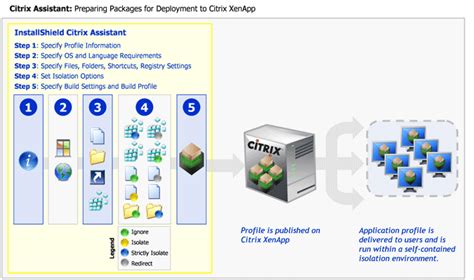 About The Citrix Assistant