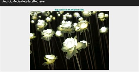 Android Er Mediametadataretriever Illegalargumentexception Thrown