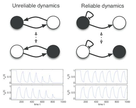 4 Comparison Of Two Networks That Have A Common Synchronous Attractor Download Scientific