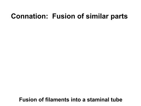 Angiosperms Taxonomy By Cladistic Approach Ppt