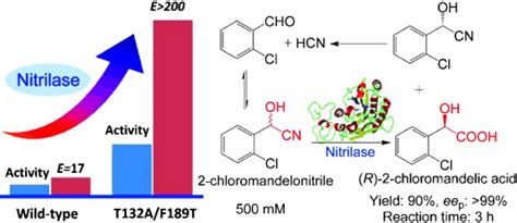 Design Of Nitrilases With Superior Activity And Enantioselectivity
