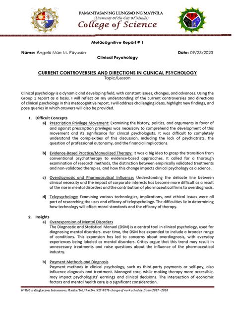 Metacognitive Report Pdf Psychology