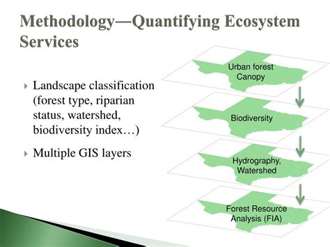 Ppt Texas Forest Ecosystem Services Valuation Powerpoint Presentation