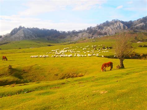 Парк Натураль де Горбейя, Испания