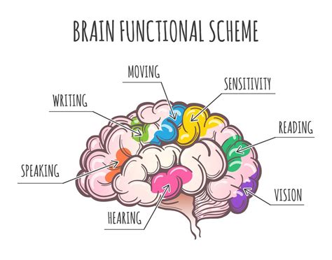 Monitor Brain Activity Using Functional Magnetic Resonance Imaging