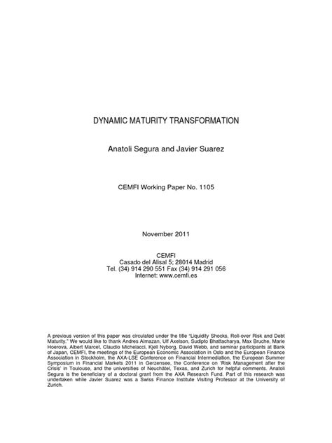 Dynamic Maturity Transformation Docsharetips